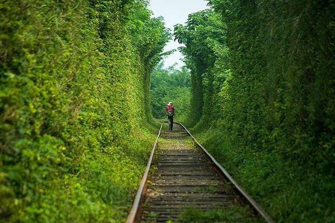 Đường ray xe lửa bỏ hoang phủ đầy cây xanh trở thành đường hầm lãng mạn